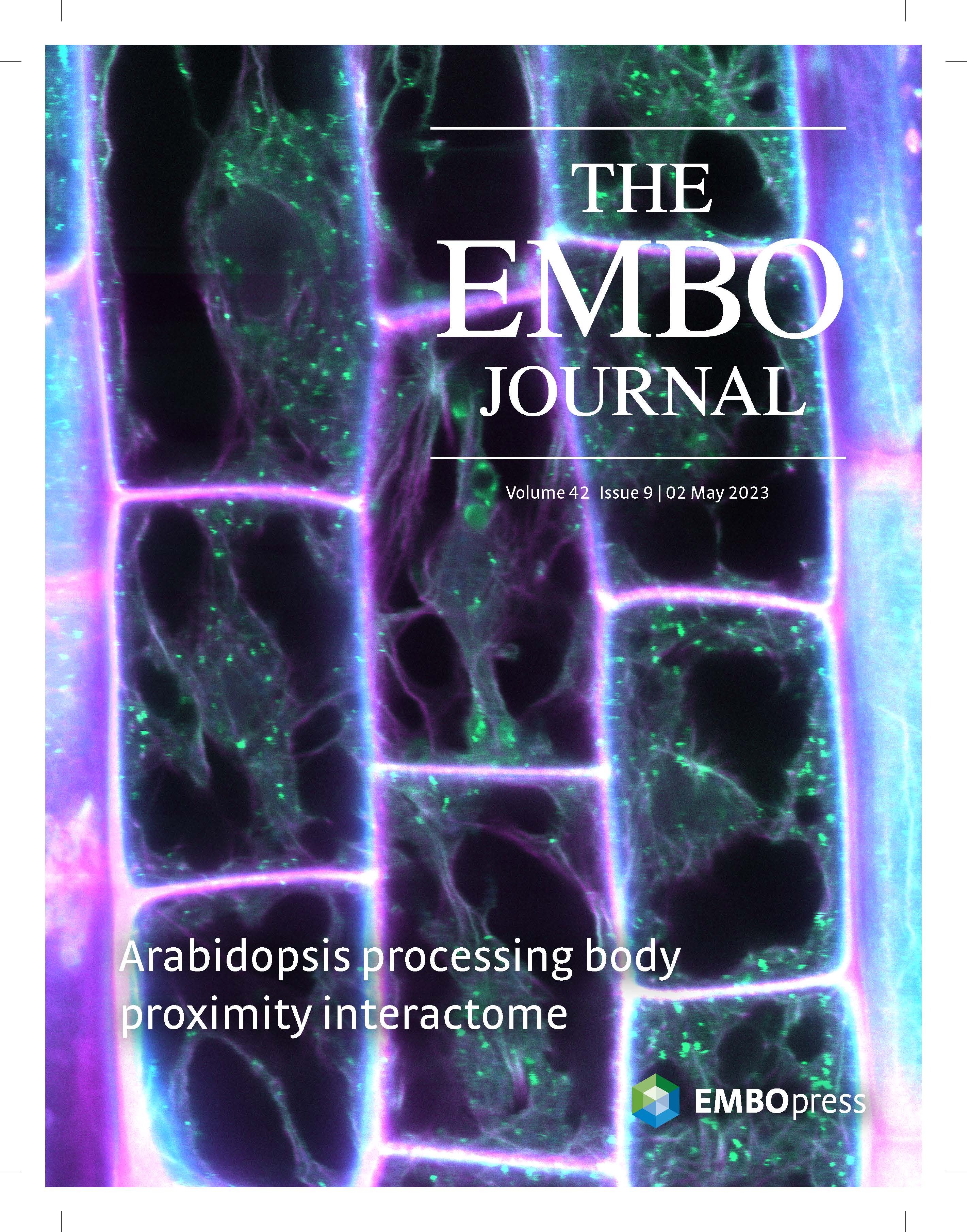 Welcome! – MOSCHOU LAB